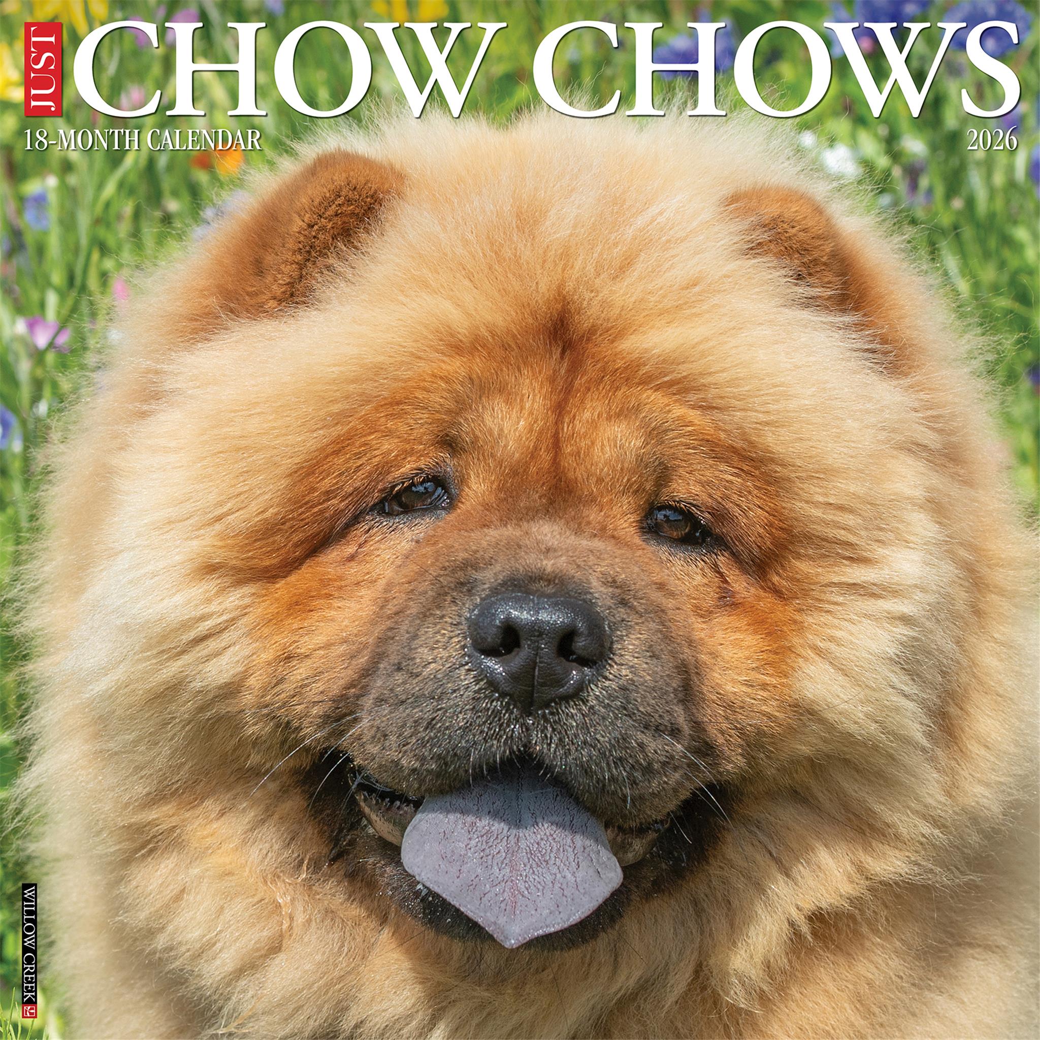 Chow Chows 2026 Just Wall Calendar